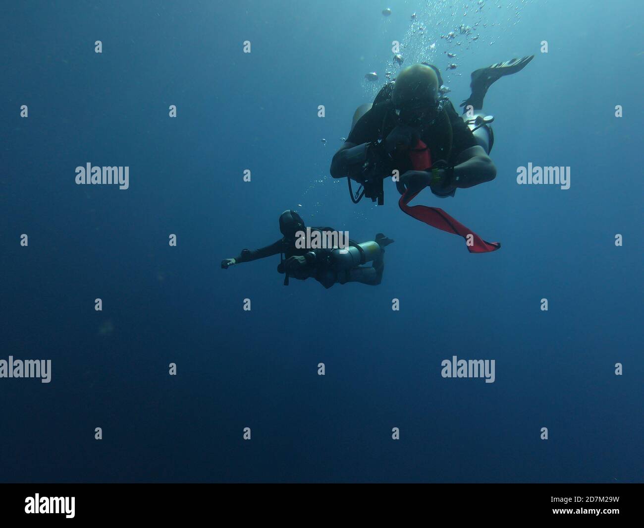 Scuba divers in the depths of the ocean with an oxygen tank and fins ...