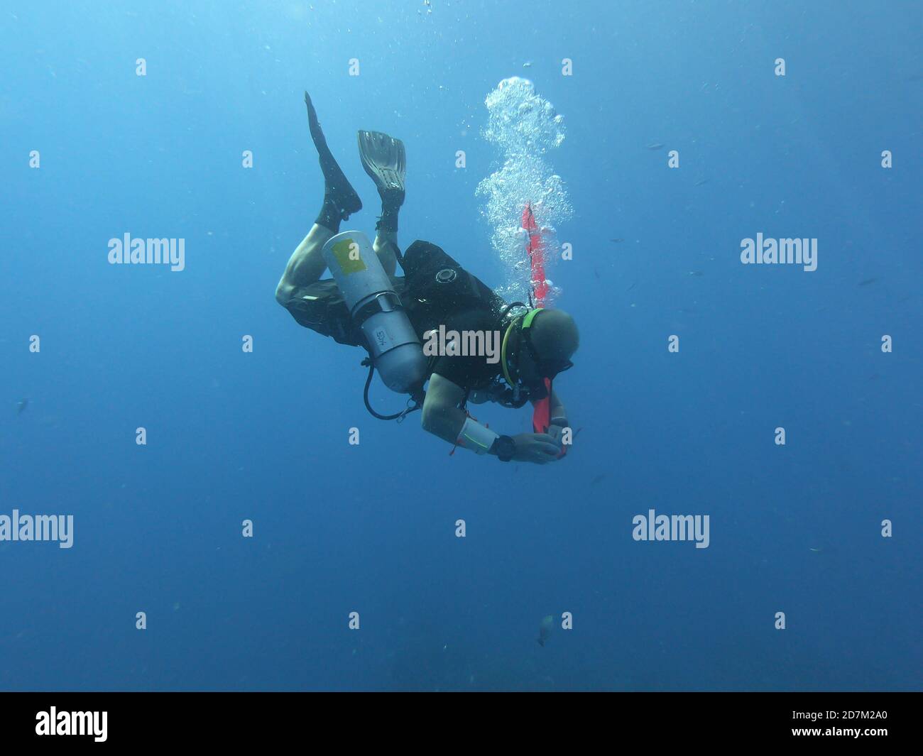 Scuba diver in the depths of the ocean with an oxygen tank and fins and ...