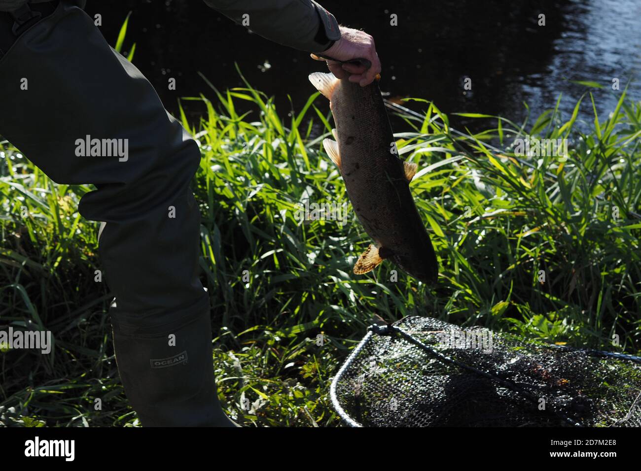Man catching fish hi-res stock photography and images - Alamy