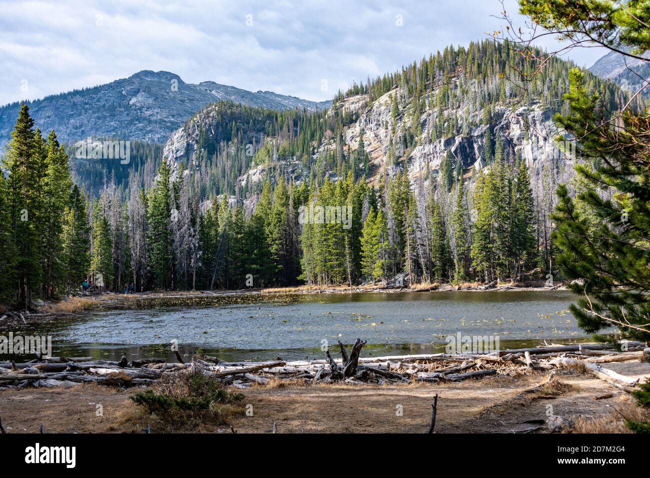 Nymph lake hi-res stock photography and images - Alamy