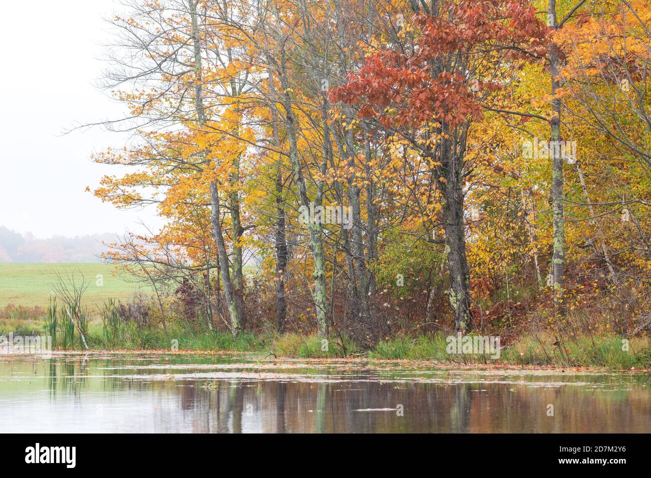 Autumn morning on a wilderness lake in northern Wisconsin Stock Photo ...