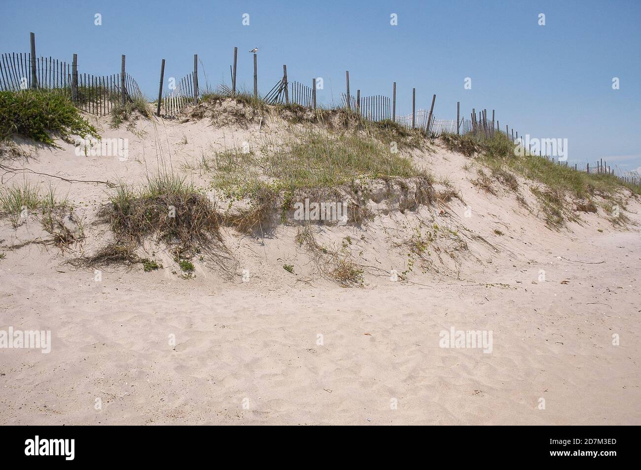 Albemarle pamlico peninsula hi-res stock photography and images - Alamy