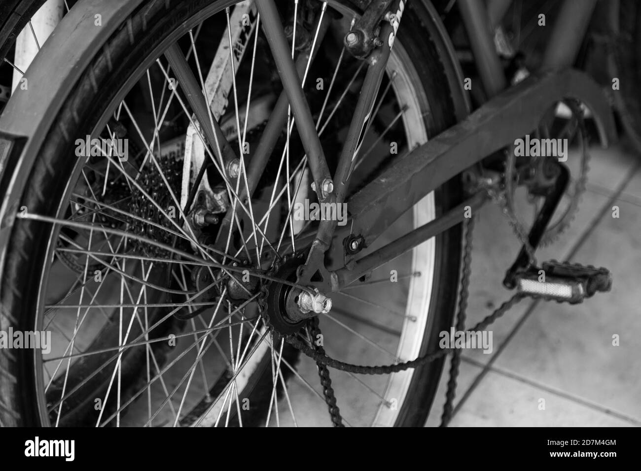 Bicycles tires Black and White Stock Photos & Images - Alamy