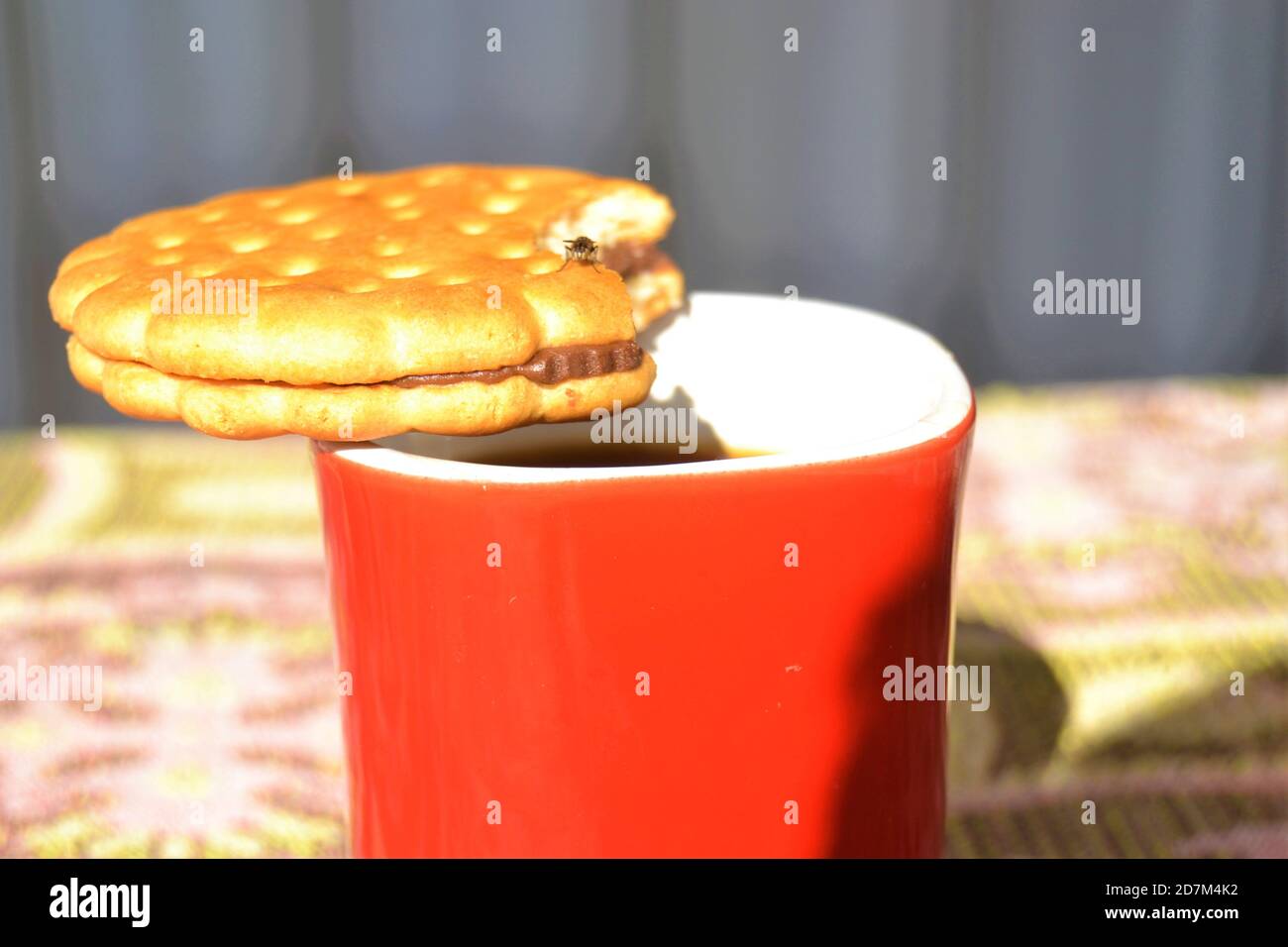 Coffee and double decker biscuit with chocolate. Biscuit with chocolate ...
