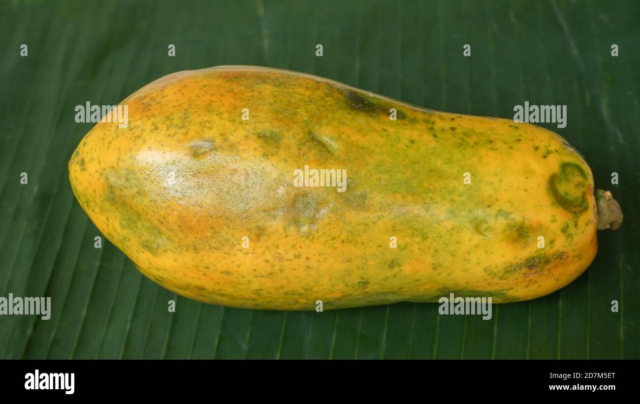 Papaya orange hi-res stock photography and images - Alamy