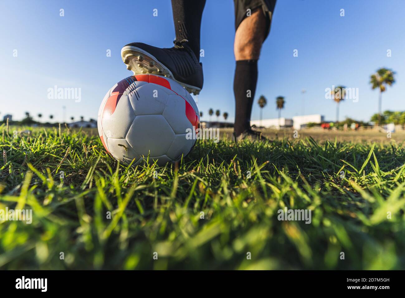 Footballer's foot on the ball on the lawn, the concept of a healthy ...