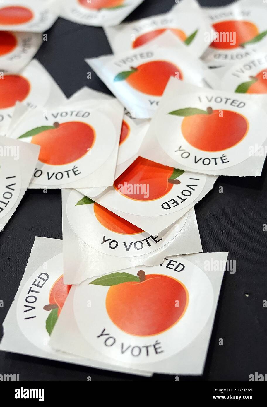 I voted georgia hi-res stock photography and images - Alamy