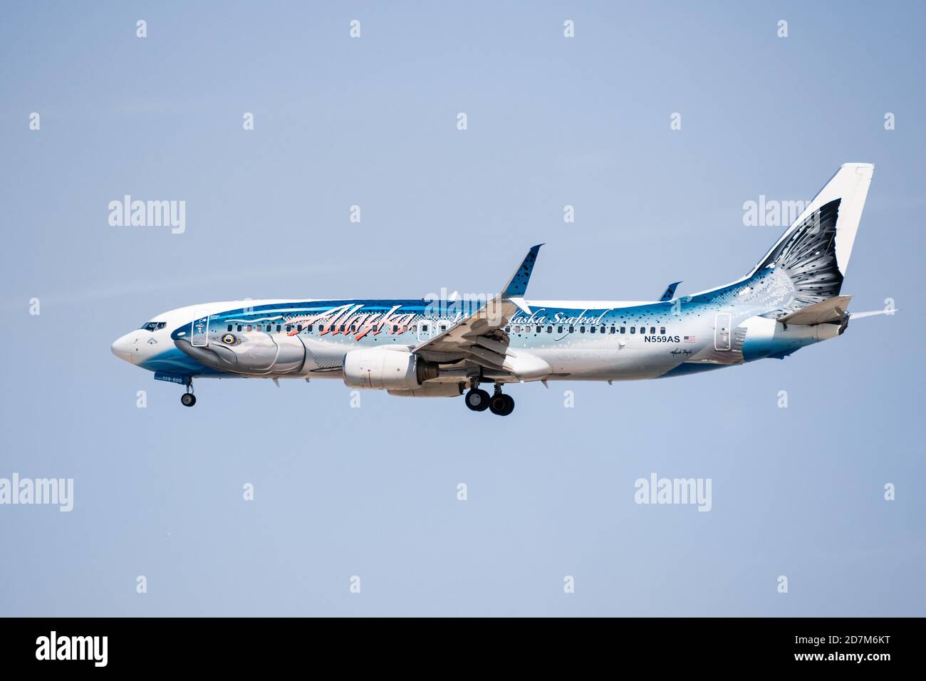 Sep 25, 2020 San Jose / CA / USA - Alaska Airlines (Salmon-Thirty ... Sep 25, 2020 San Jose / CA / USA - Alaska Airlines (Salmon-Thirty ...