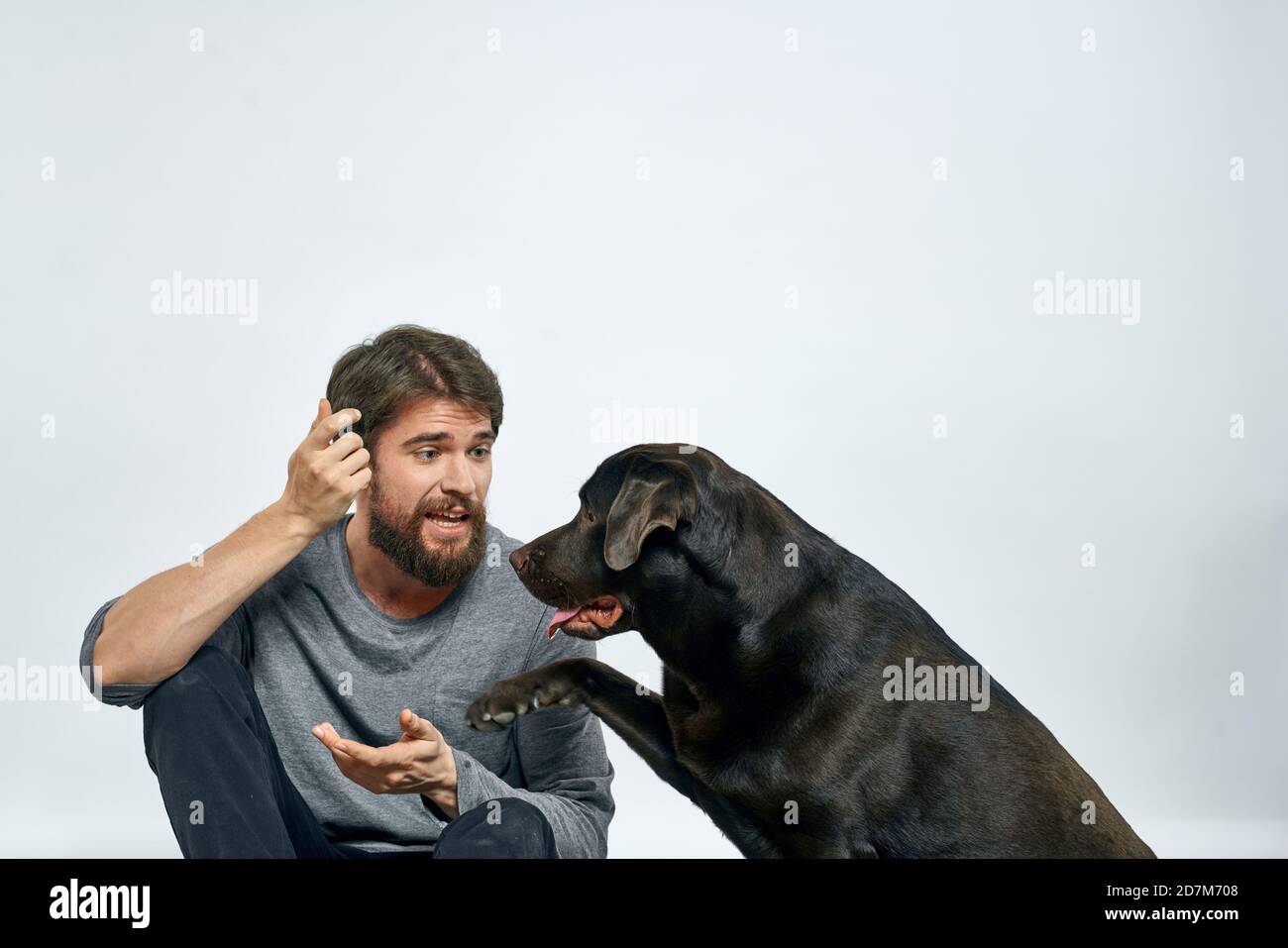 happy owner with pet black dog training model emotions Stock Photo - Alamy