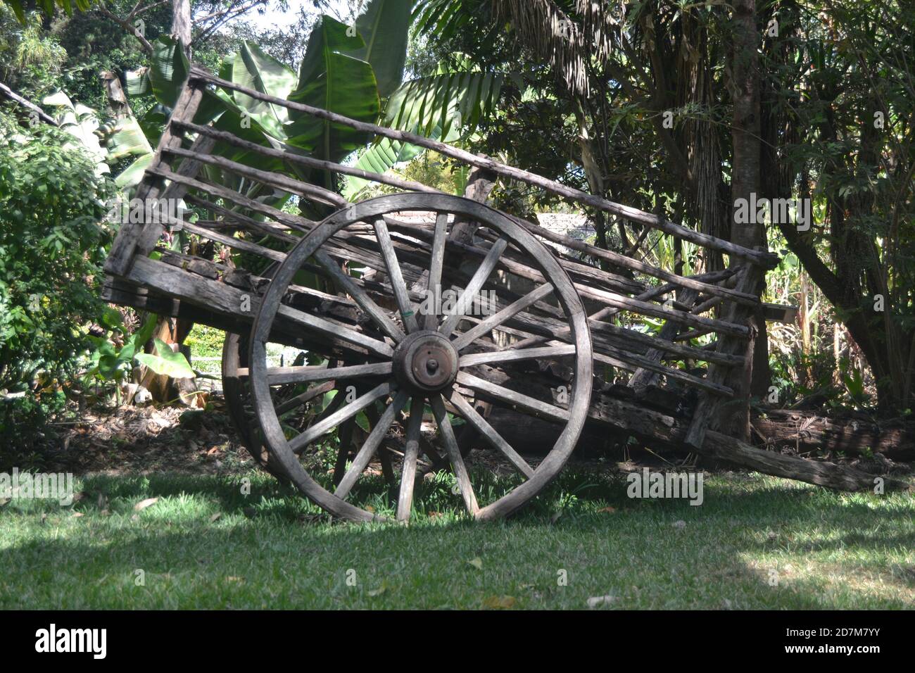 Wagon on Coffee Farm Stock Photo - Alamy
