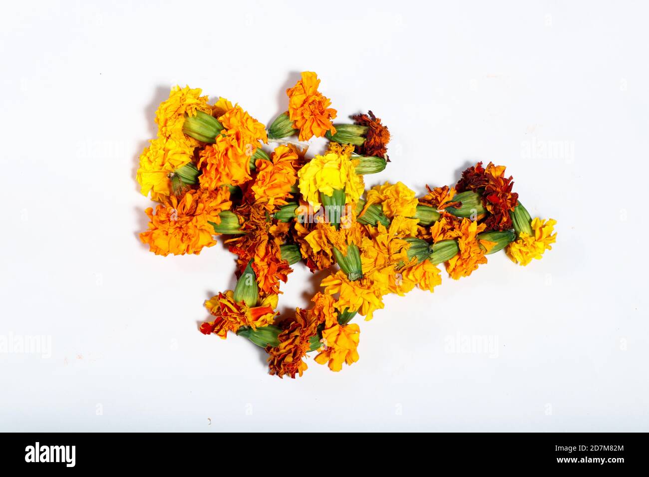 Marigold garland hi-res stock photography and images - Alamy