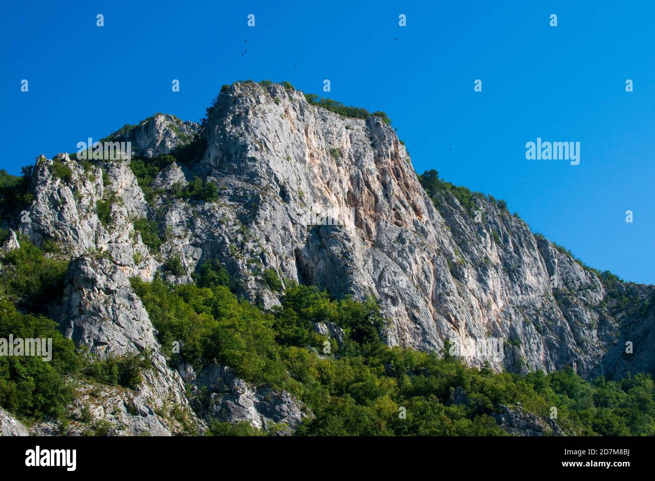 Low angle shot of a rocky rough cliff covered with greenery Stock Photo ...