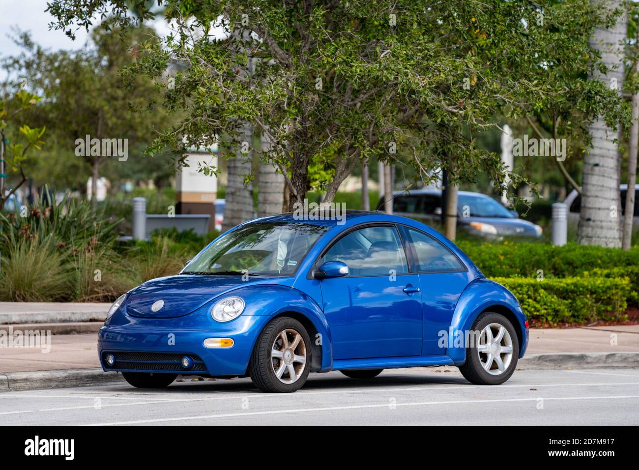 Blue Vw Beetle