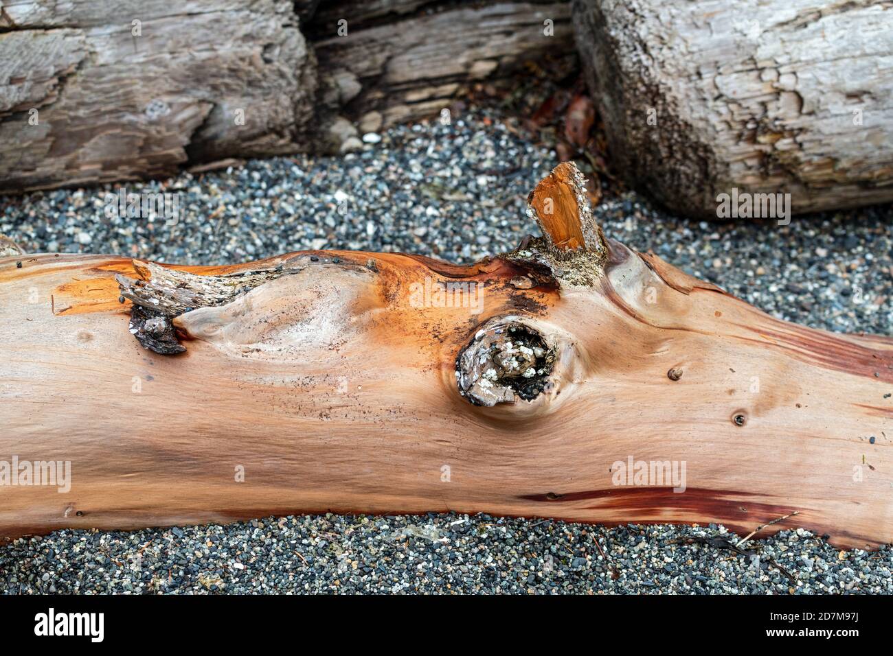 Knotty branch piece hi-res stock photography and images - Alamy