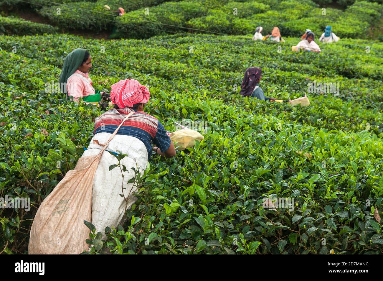 Indian women factory hi-res stock photography and images - Alamy