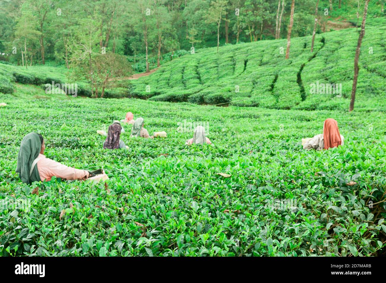 Indian women factory hi-res stock photography and images - Alamy