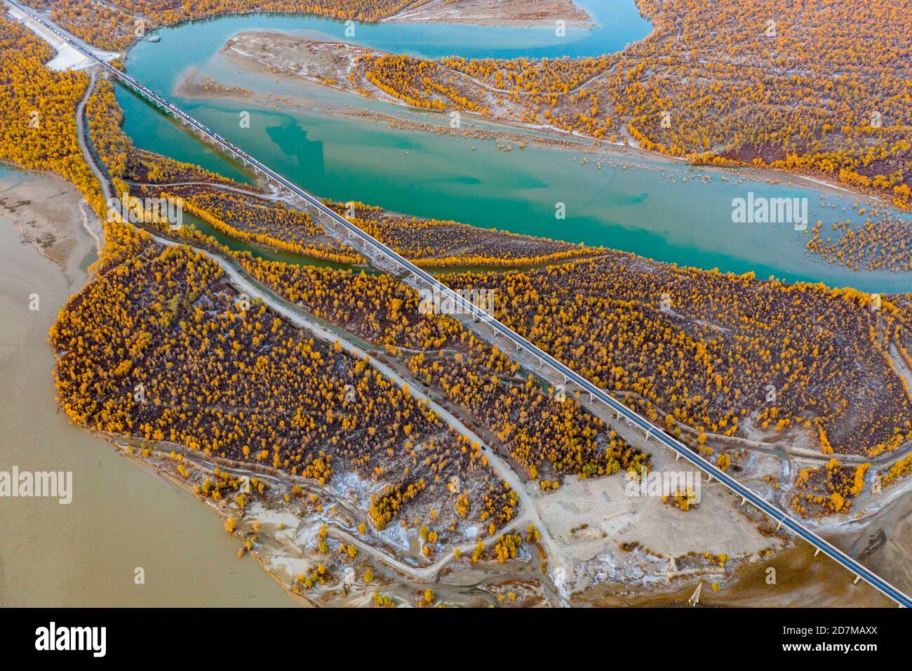 China xinjiang uygur autonomous region forest hi-res stock photography ...