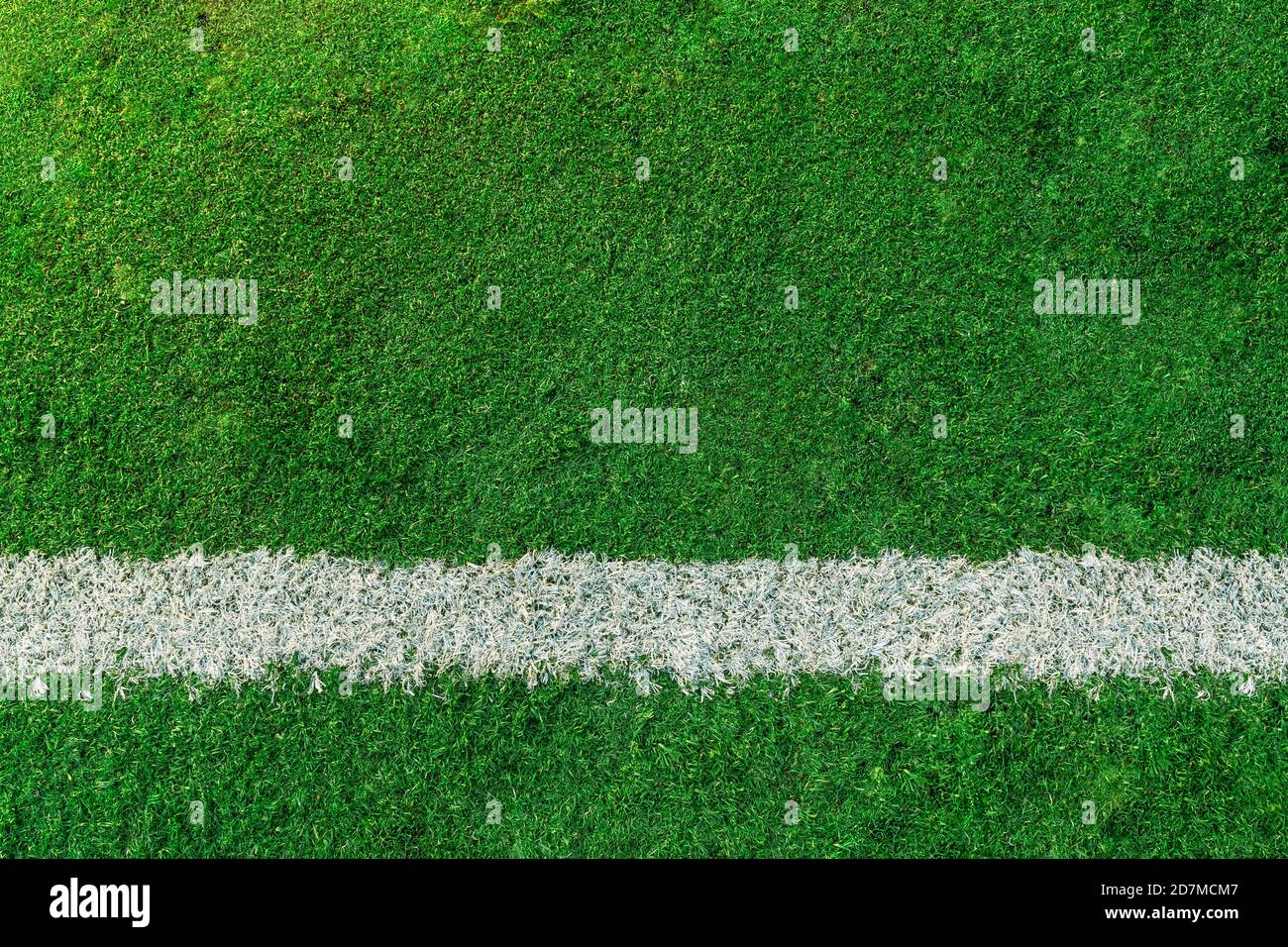 Soccer or Football field with white line Stock Photo - Alamy