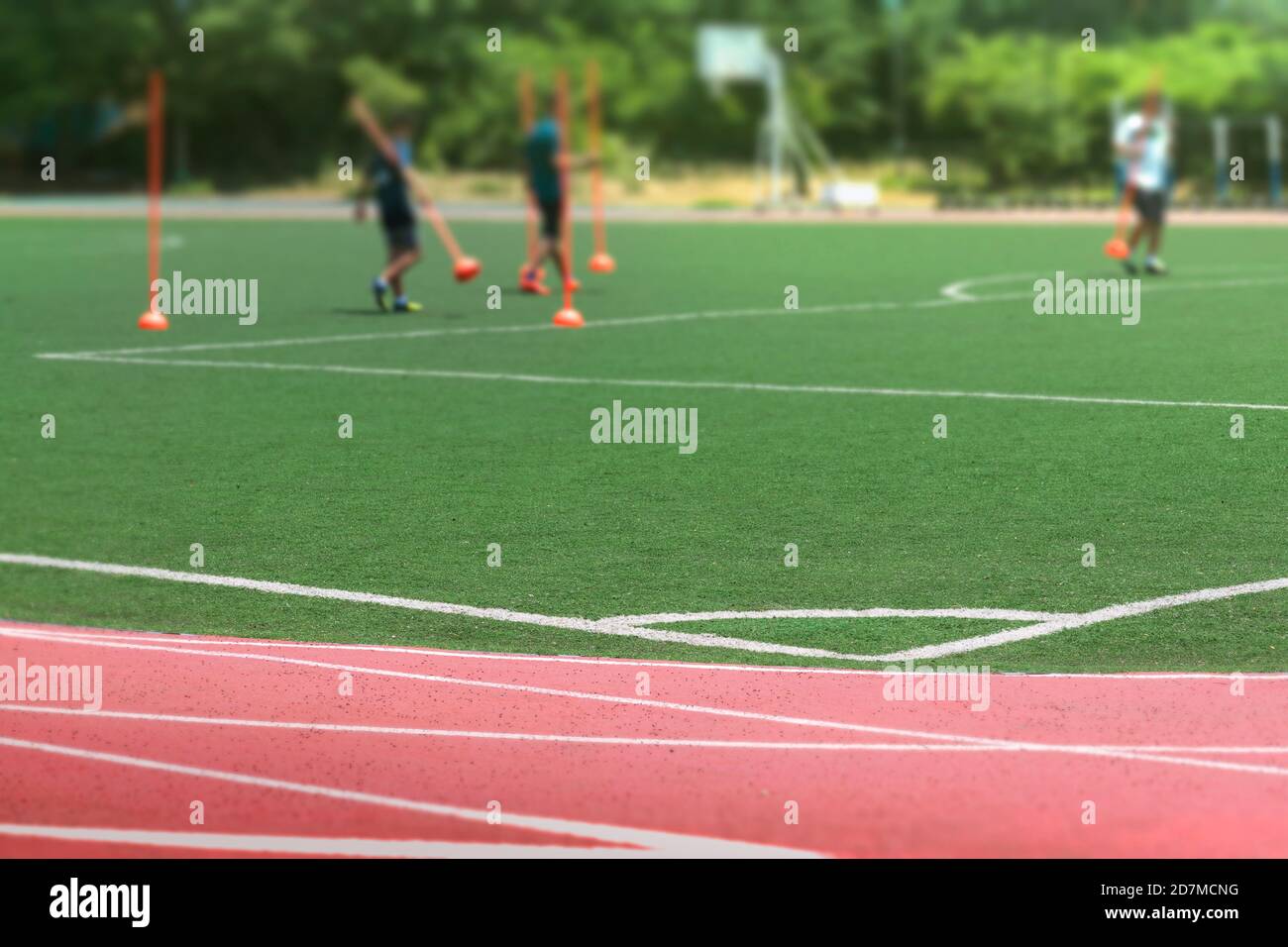 Soccer or Football field with white line Stock Photo - Alamy