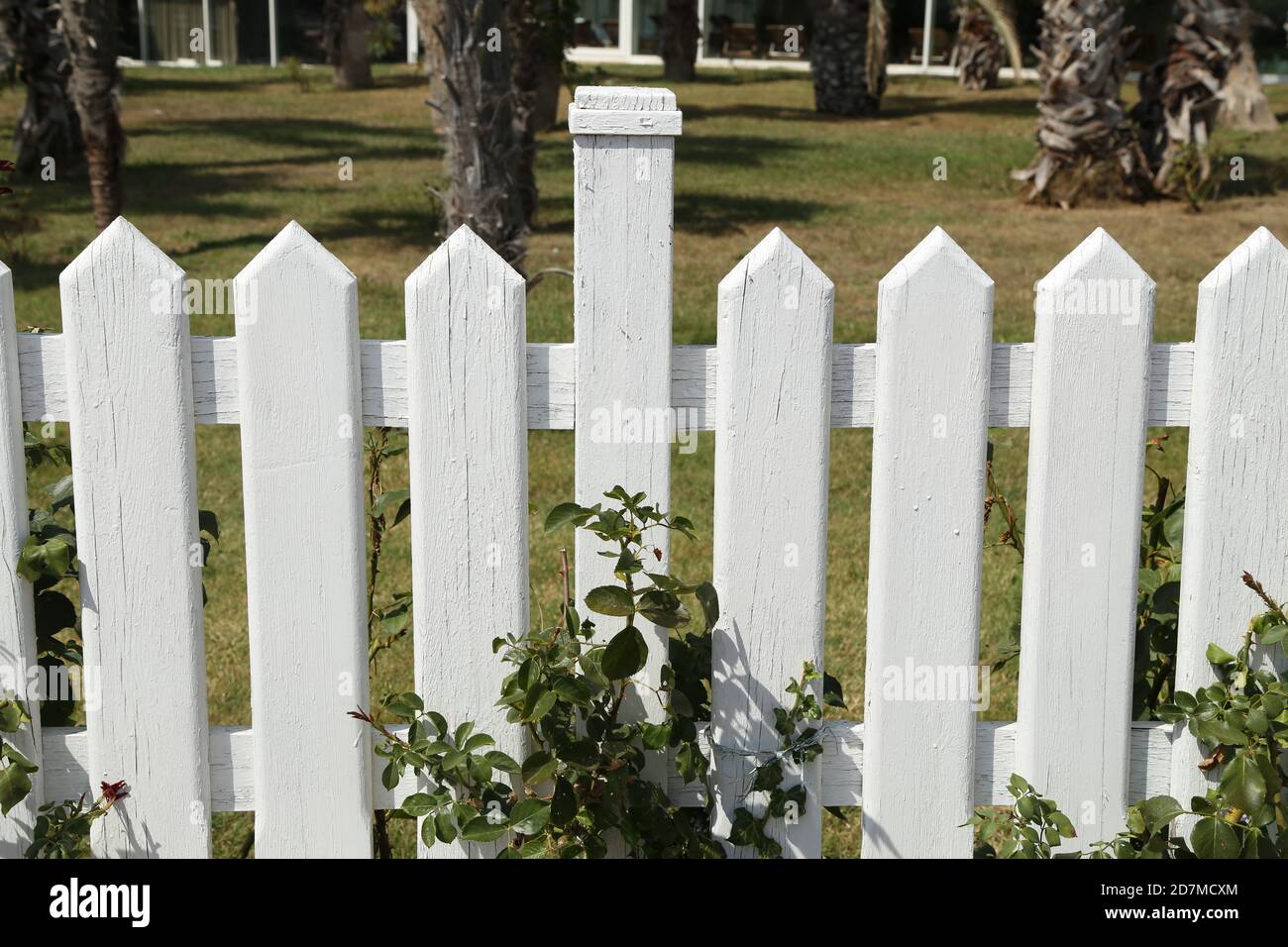 White fence backyard hi-res stock photography and images - Alamy