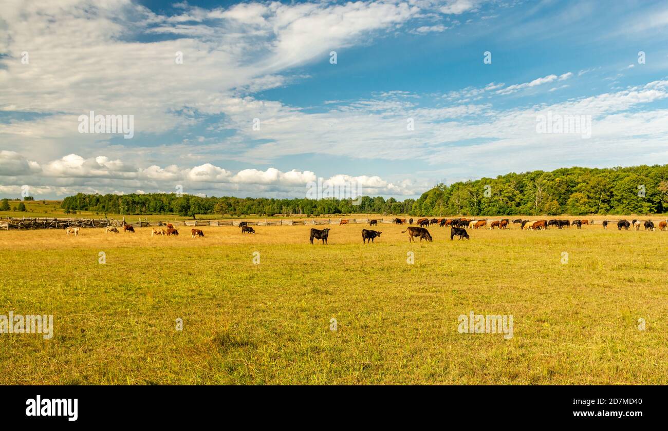 Rural Farm Ontario Canada Stock Photo - Alamy