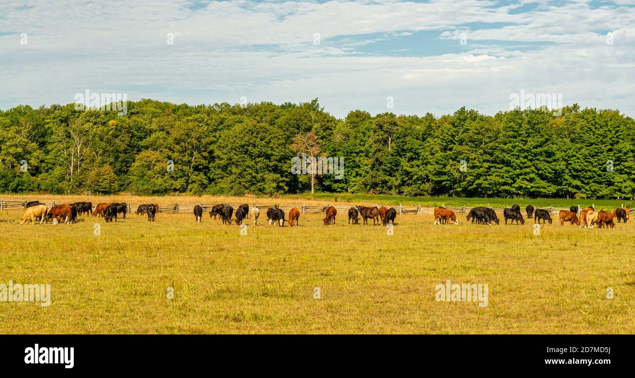 Rural Farm Ontario Canada Stock Photo - Alamy