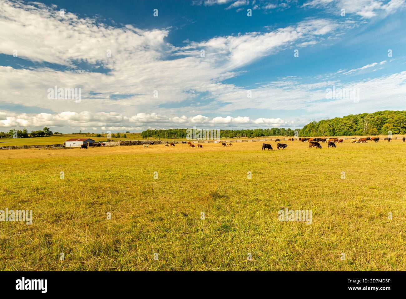 Rural Farm Ontario Canada Stock Photo - Alamy