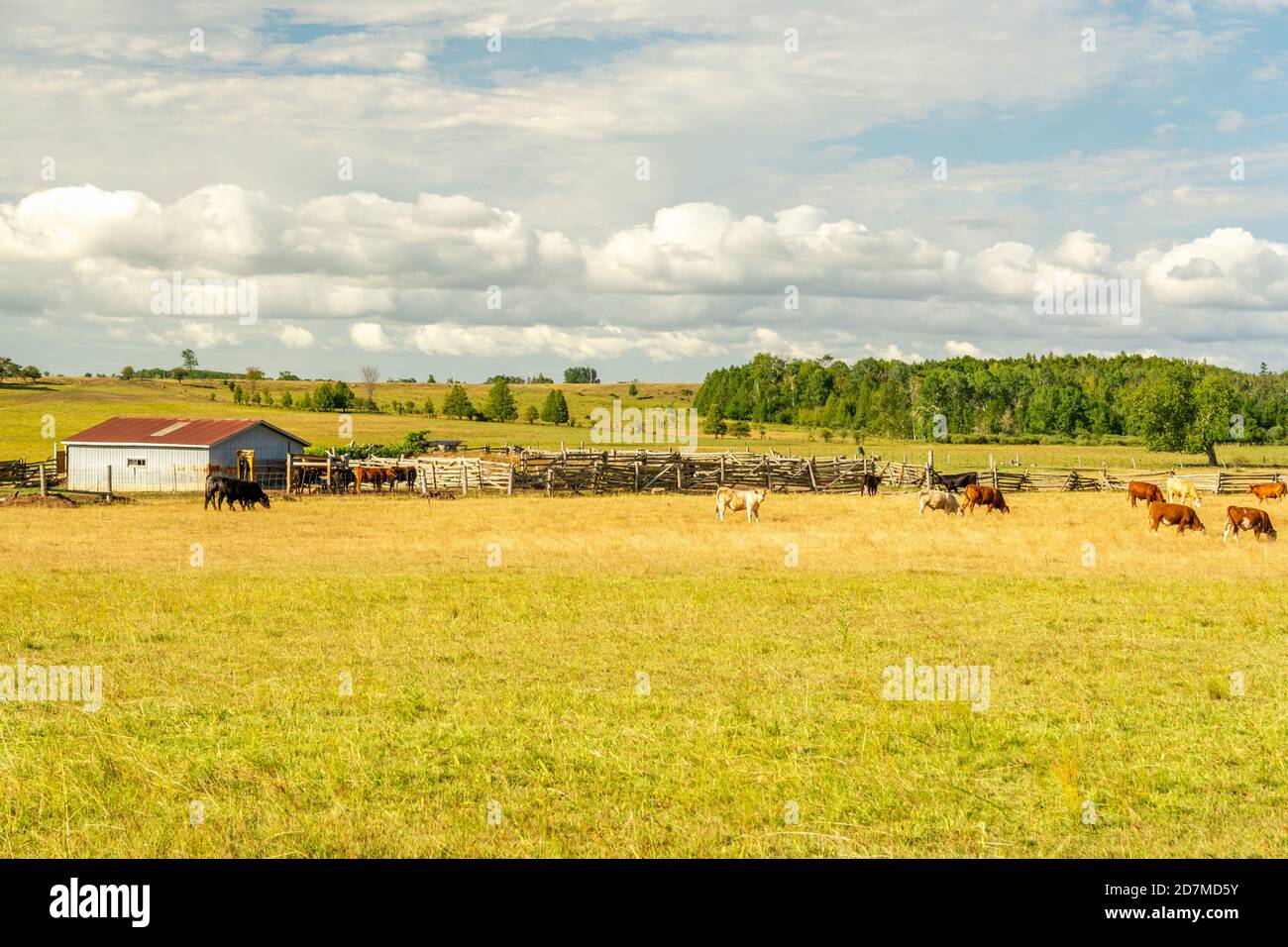 Rural Farm Ontario Canada Stock Photo - Alamy