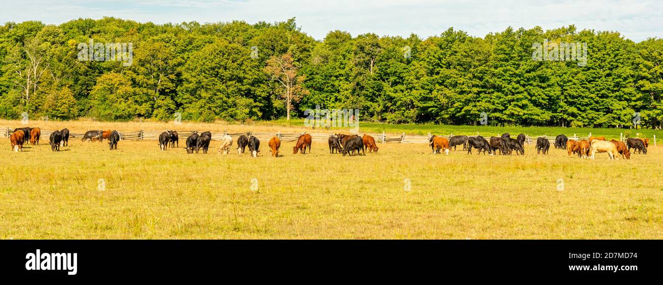 Rural Farm Ontario Canada Stock Photo - Alamy