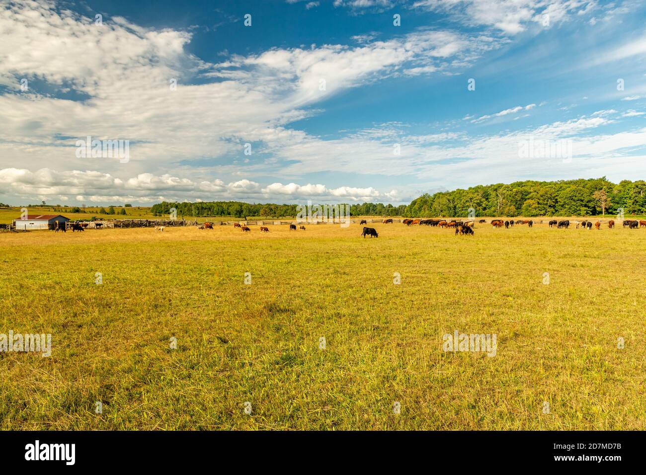 Ontario Farming Equipment High Resolution Stock Photography and Images ...