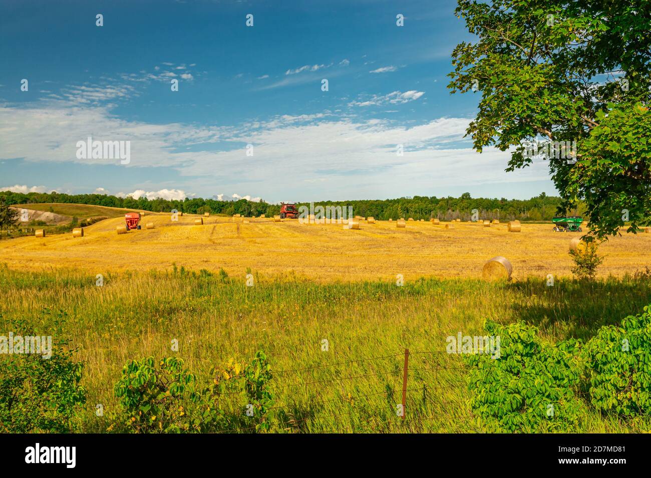 Rural Farm Ontario Canada Stock Photo - Alamy