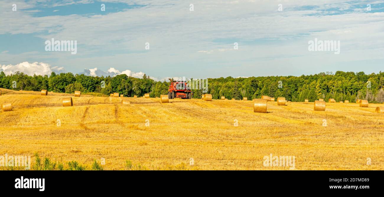Rural Farm Ontario Canada Stock Photo - Alamy