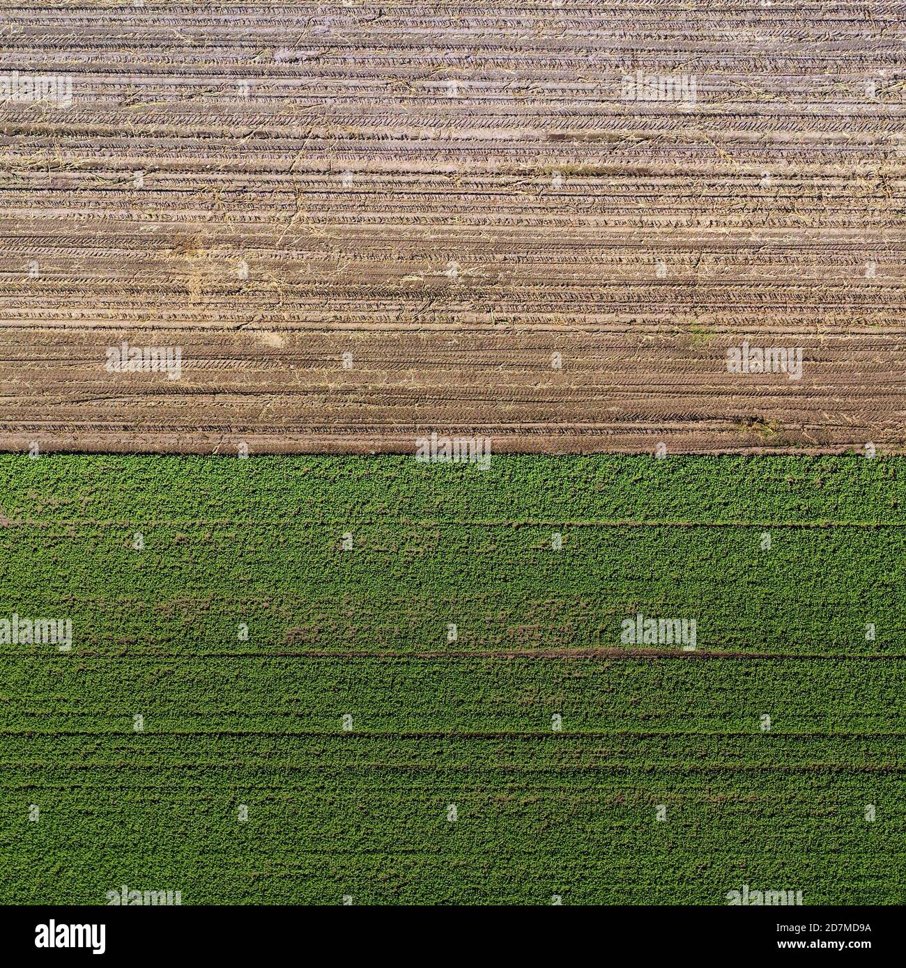 Vertical aerial view of a green field and a brown field, abstract as ...