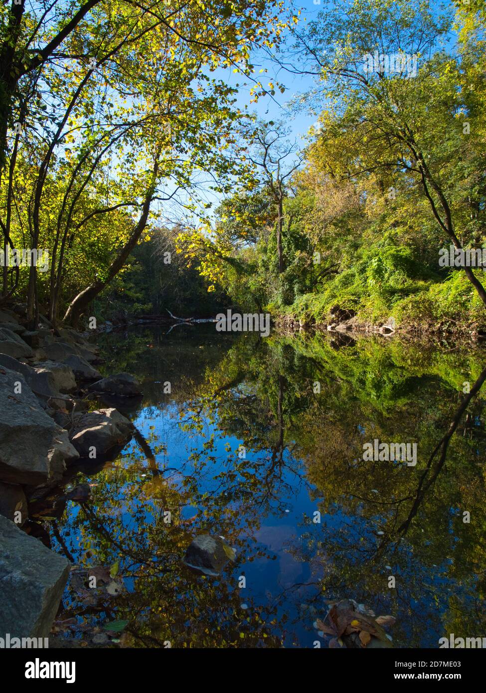 Vertical shot of a river flowing through trees in a forest Stock Photo ...