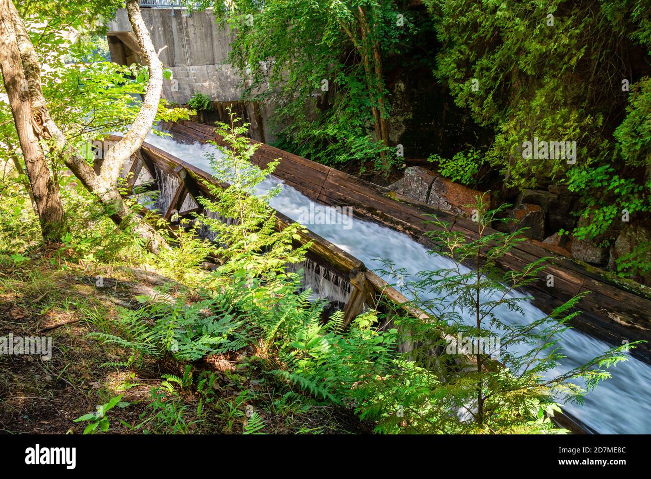Hawk Lake Log Chute Kennisis Conservation Area Algonquin Highlands ...