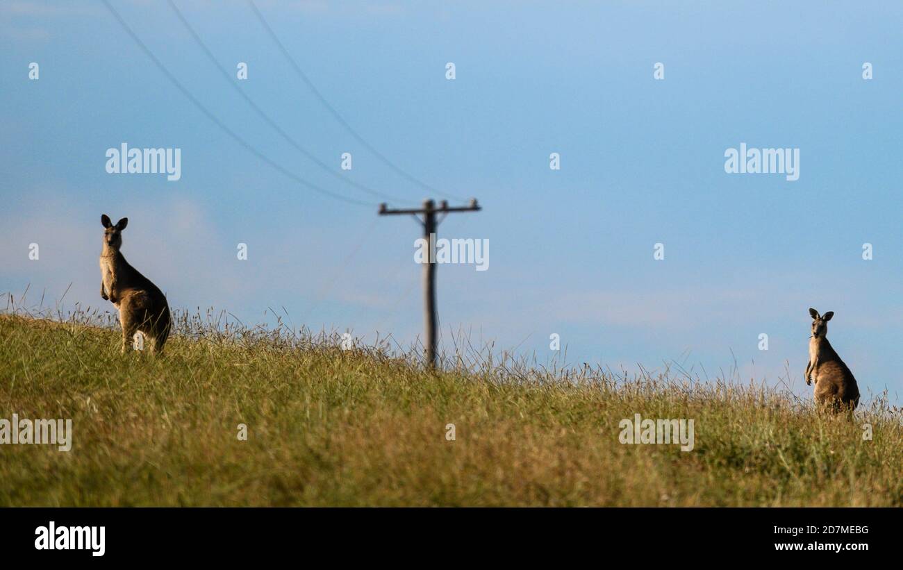 Kangaroo valley river hi-res stock photography and images - Alamy