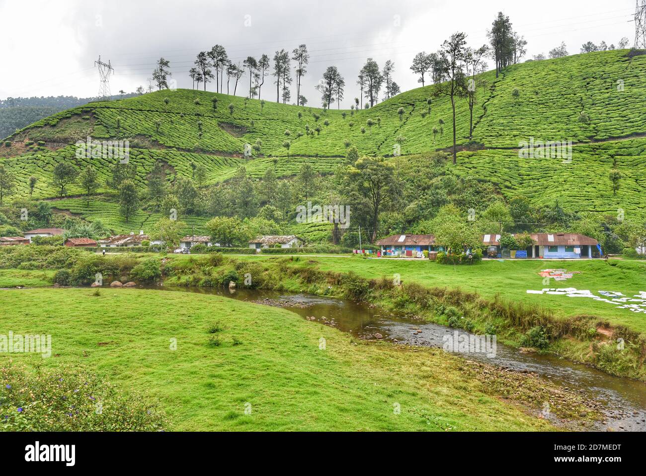 Munnar tea estate in Kerala India. Tea plantation and tea factory with ...