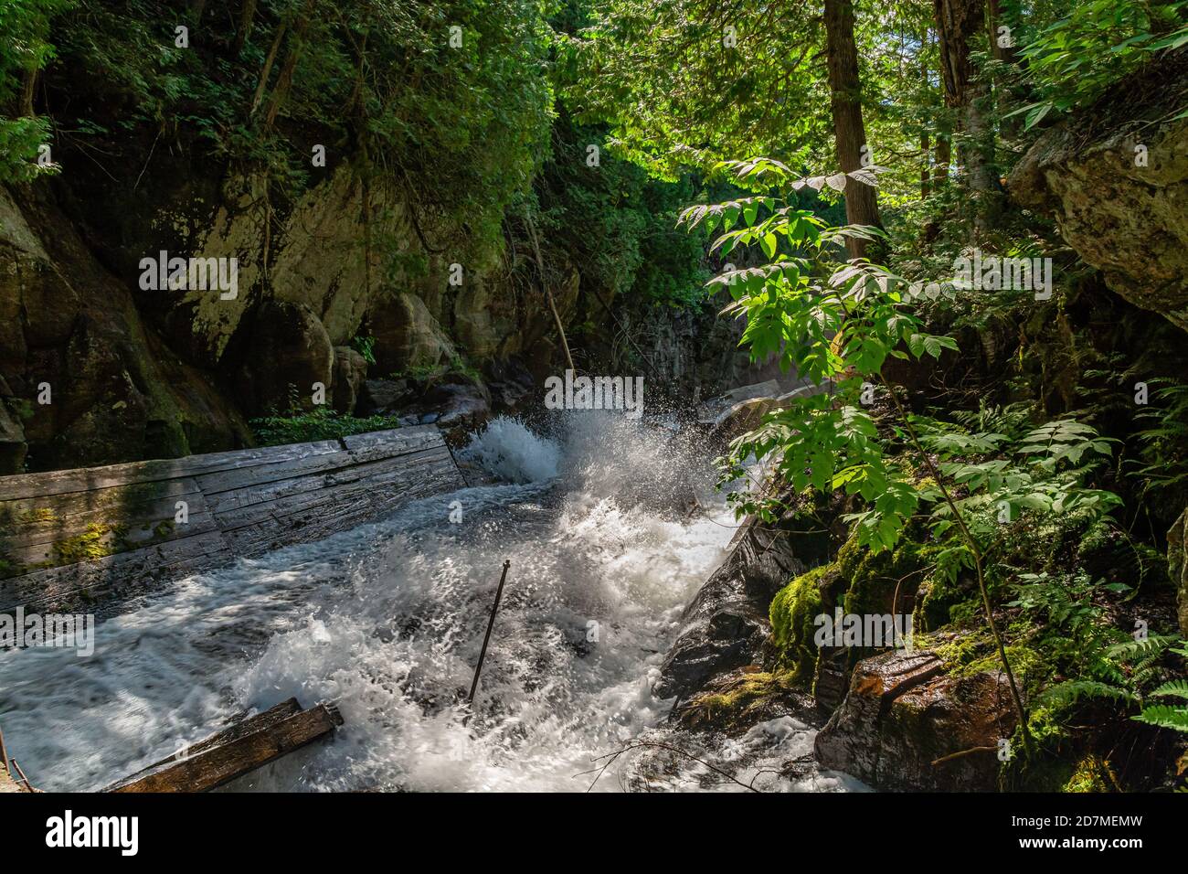 Hawk Lake Log Chute Kennisis Conservation Area Algonquin Highlands ...