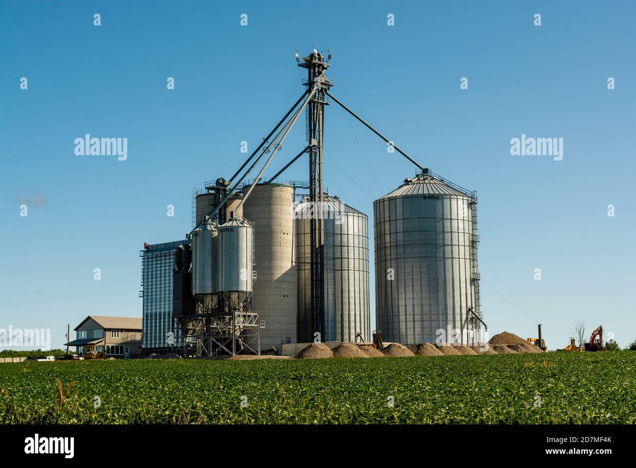 Food storage silo hi-res stock photography and images - Alamy