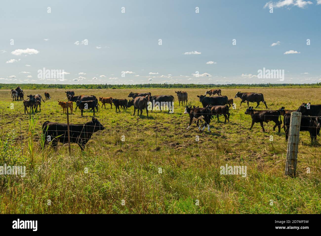 Rural Farm Ontario Canada Stock Photo - Alamy