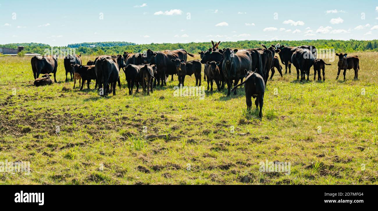 Rural Farm Ontario Canada Stock Photo - Alamy