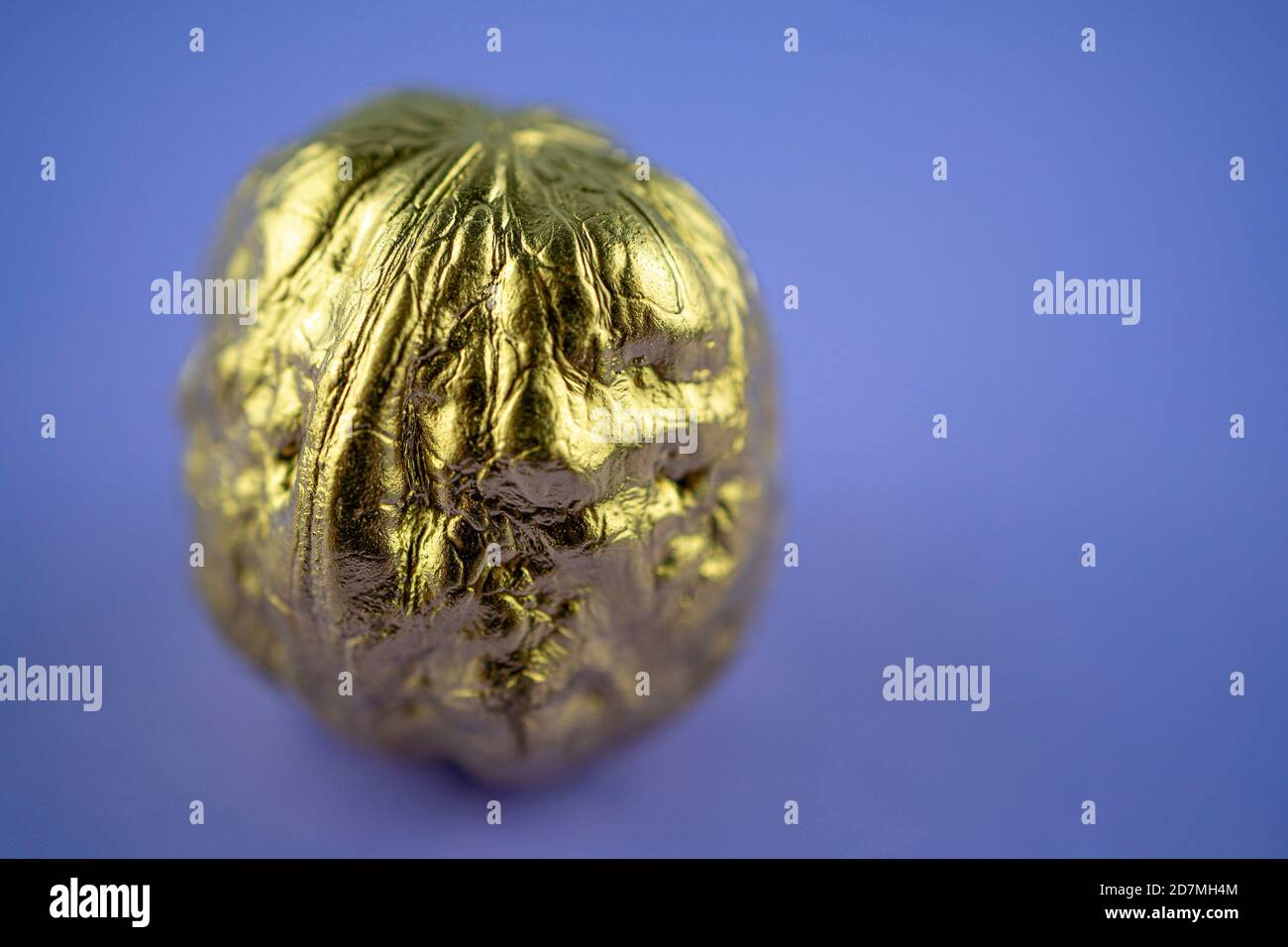 A walnut colored in golden color on a violet background. Selective ...