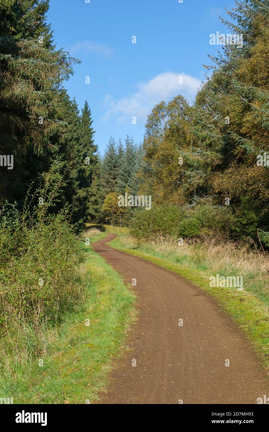 The Lakeside Way at Kielder Forest and Water, Northumberland, England ...