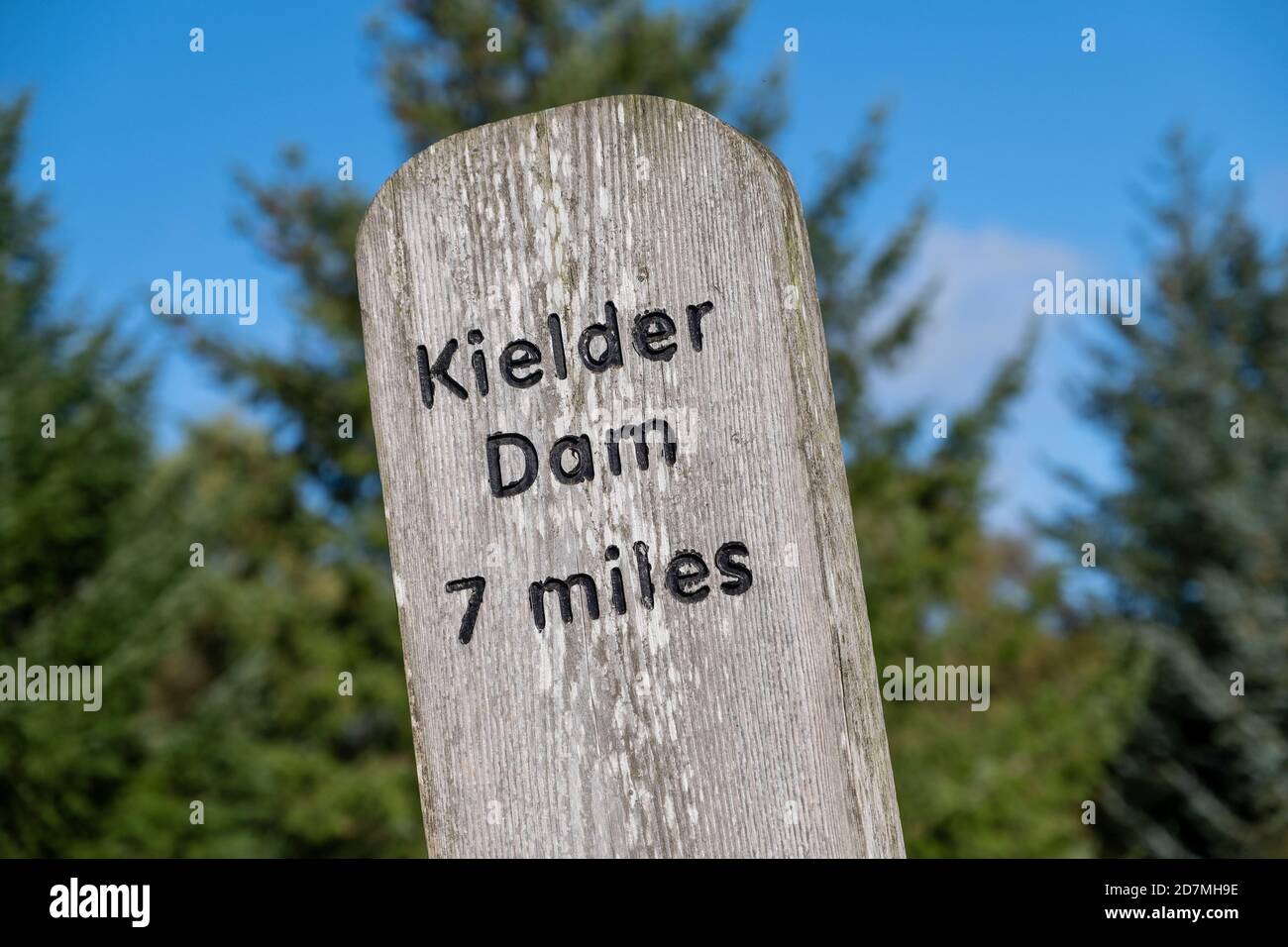 The Lakeside Way at Kielder Forest and Water, Northumberland, England ...