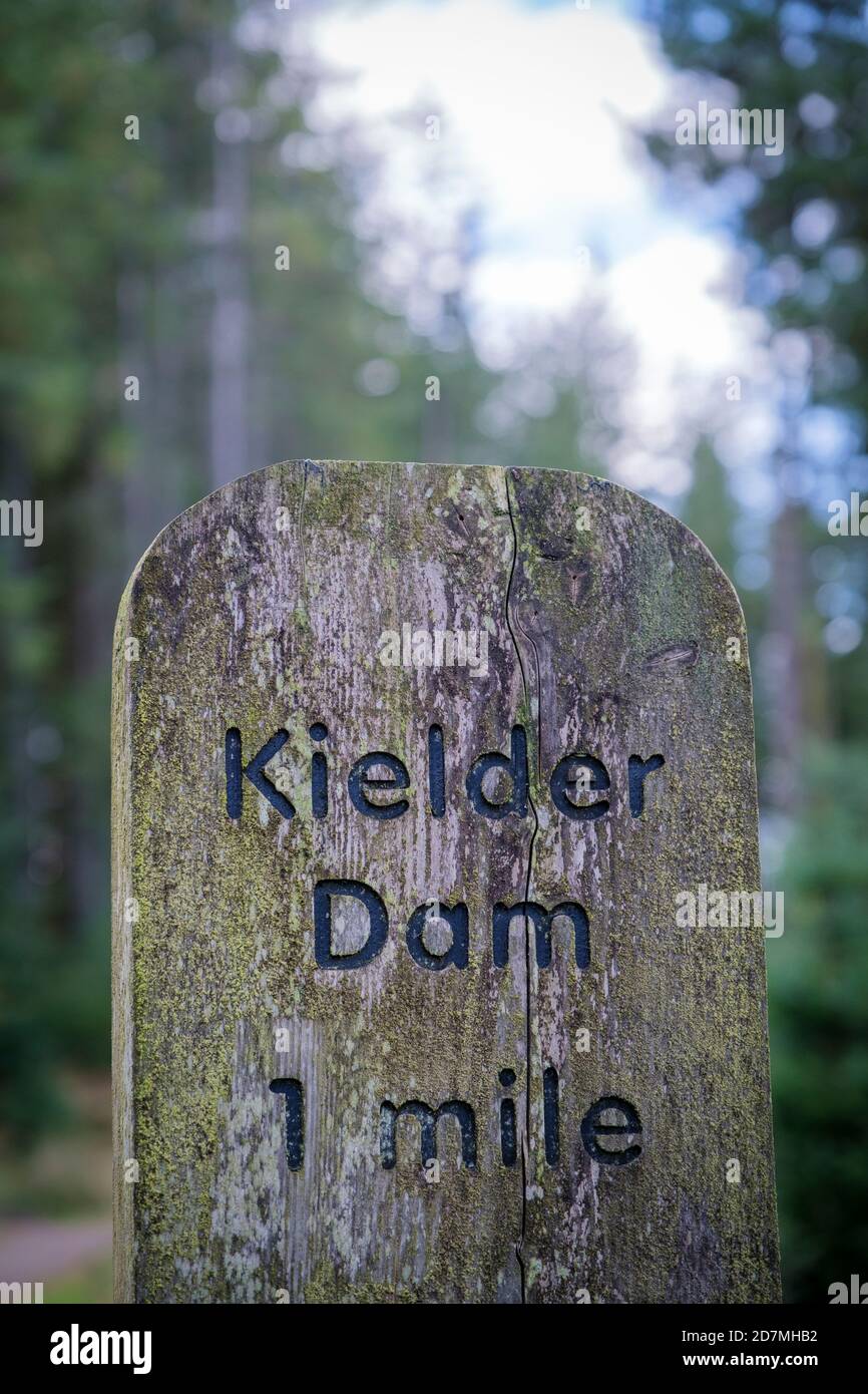 Kielder castle and forest park hi-res stock photography and images - Alamy