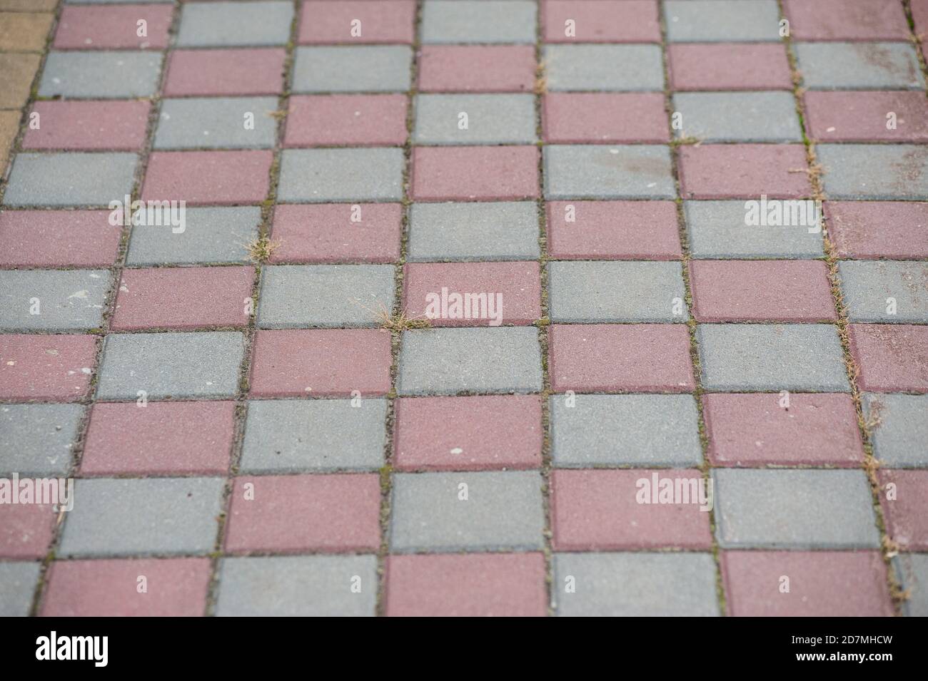 The pink grey paving tiles texture or background Stock Photo - Alamy