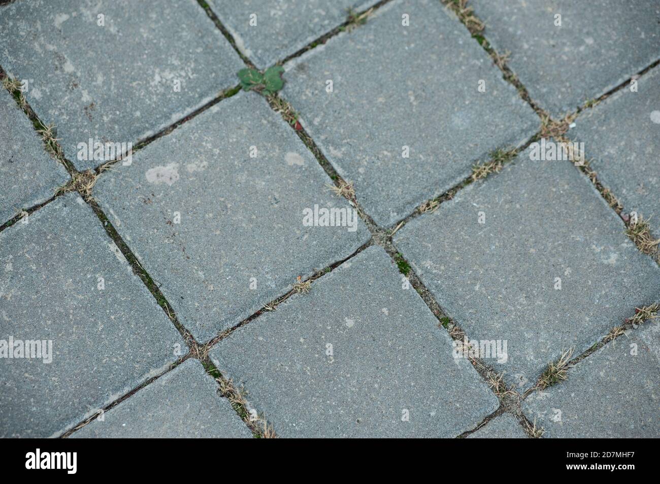 The grey paving tiles texture or background Stock Photo - Alamy