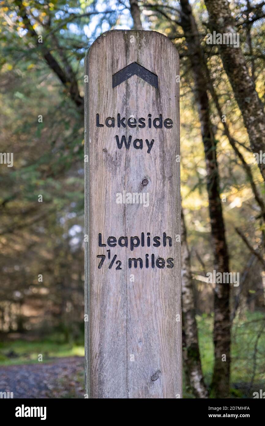 Kielder castle and forest park hi-res stock photography and images - Alamy