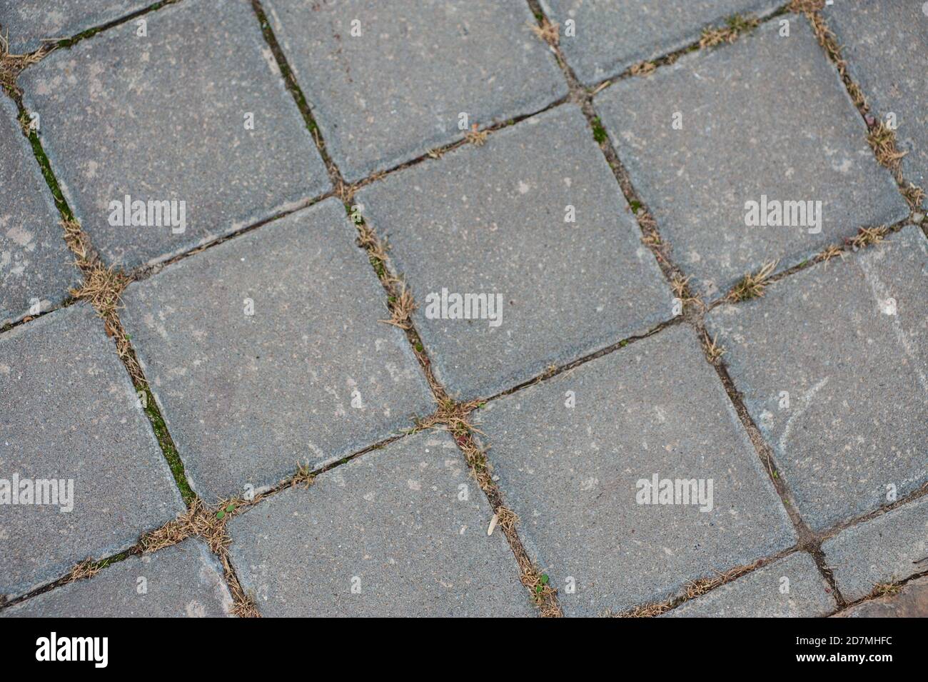 The grey paving tiles texture or background Stock Photo - Alamy