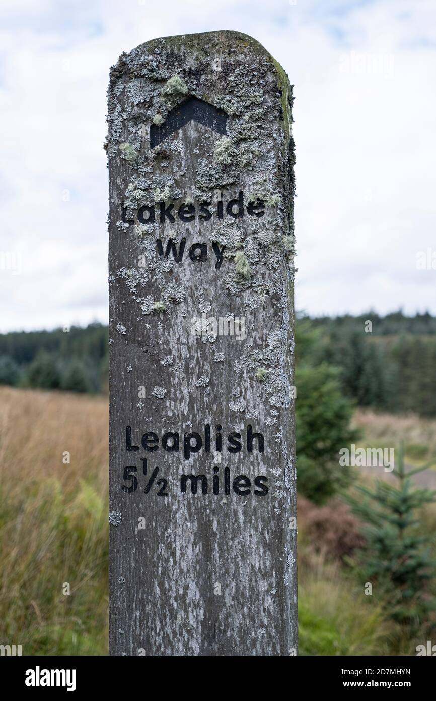 The Lakeside Way at Kielder Forest and Water, Northumberland, England ...